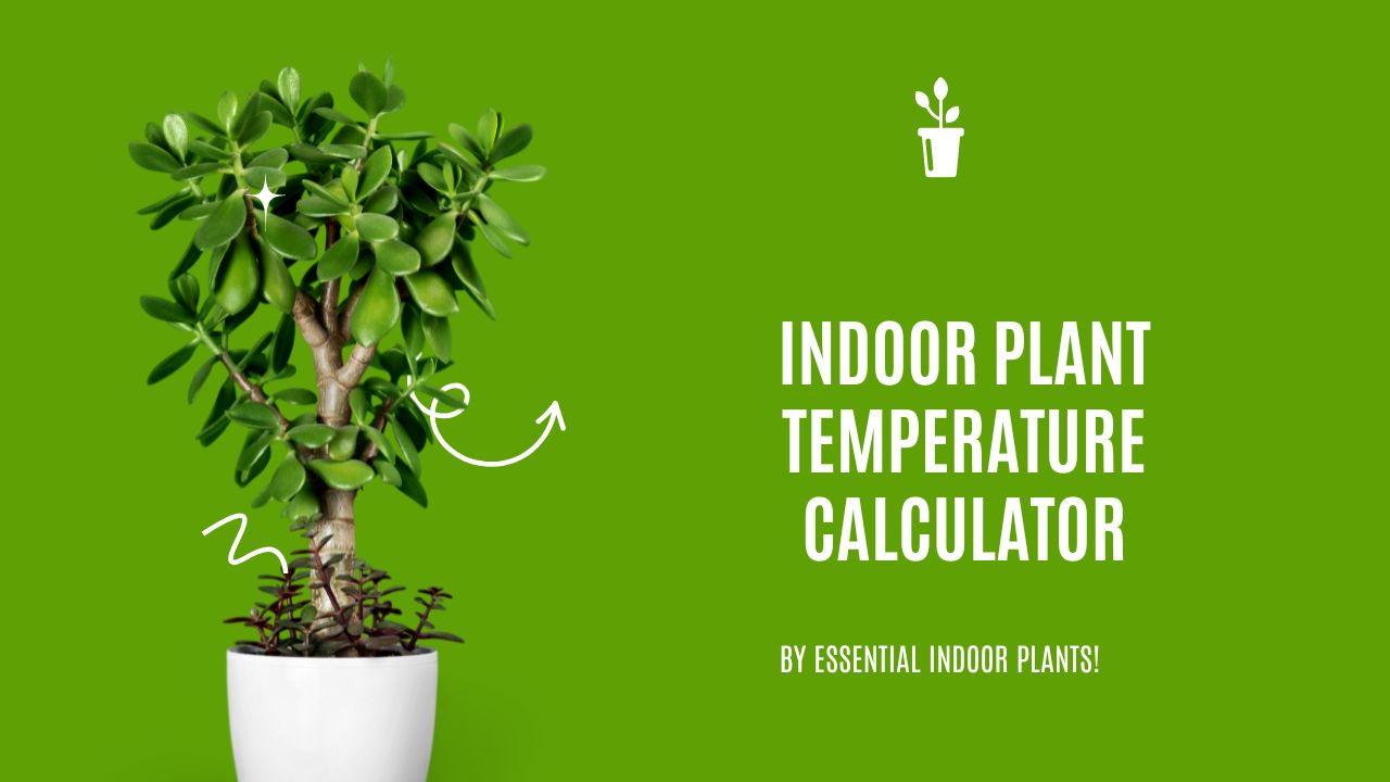 Indoor Plant Temperature Calculator for Healthy Plants