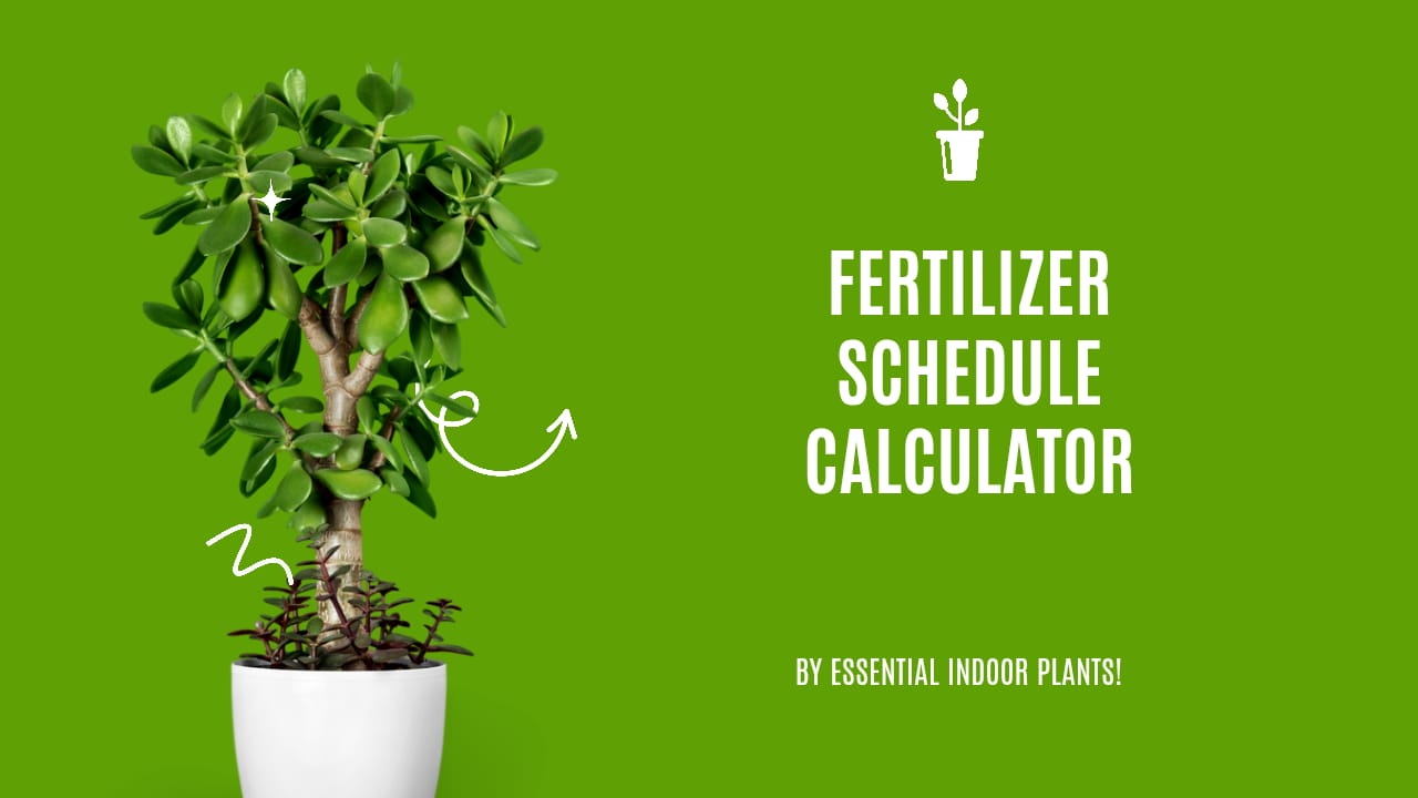 Fertilizer Schedule Calculator for Healthy Plants