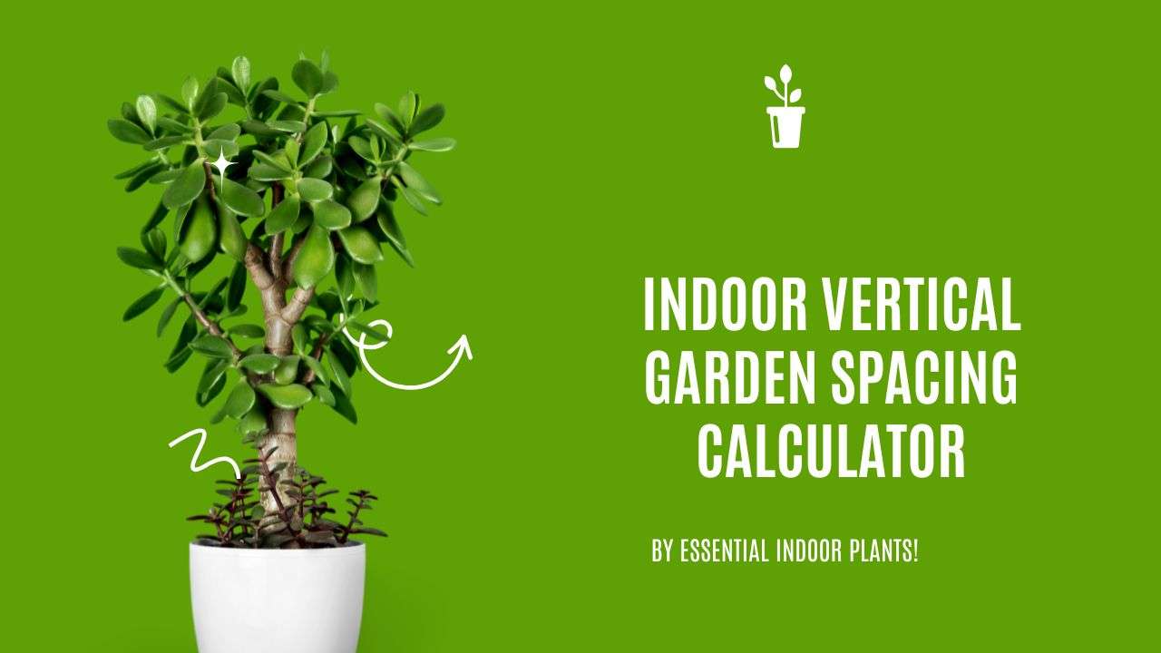 Indoor Vertical Garden Spacing Calculator